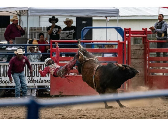 Midwest Invitational Rodeo returns with non-stop action, culture and a ...
